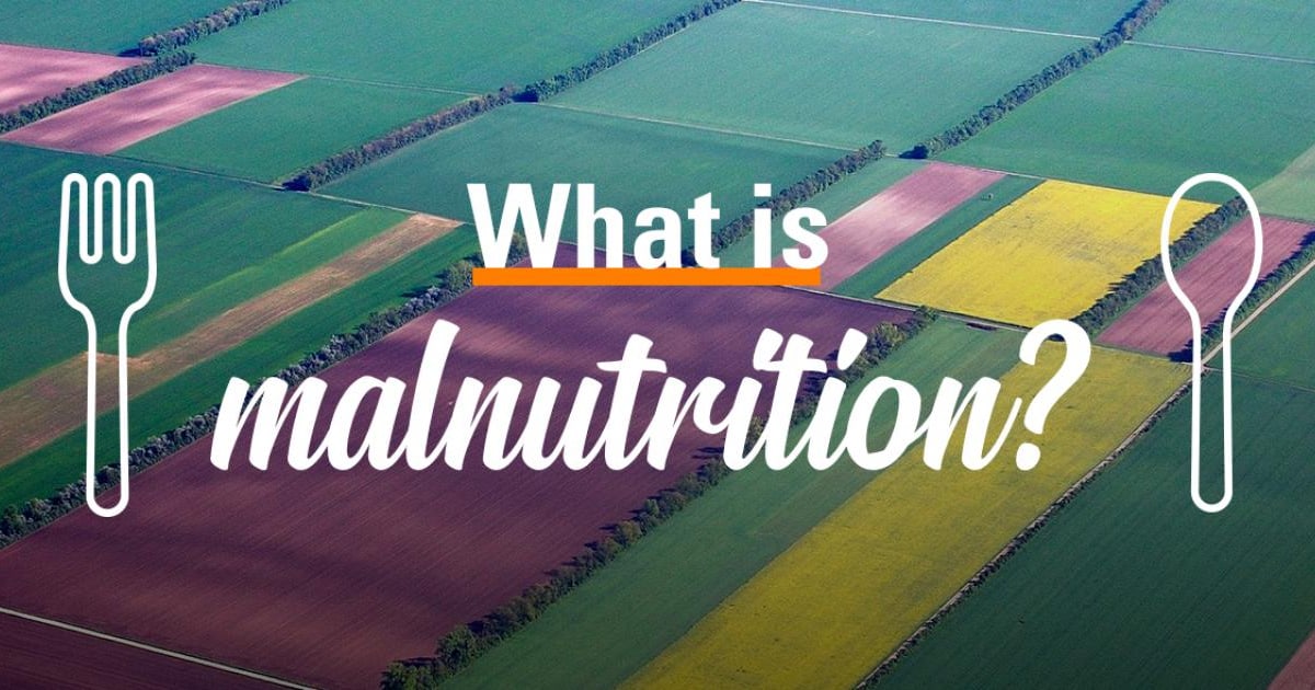 What is malnutrition? | Terre des hommes